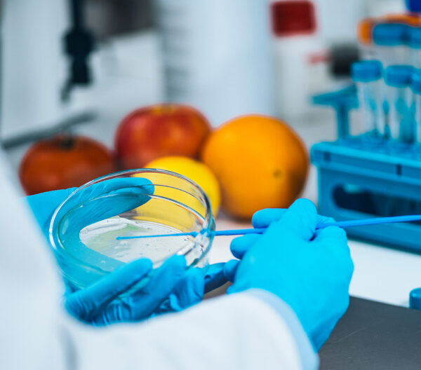 The Importance of Food Production Laboratory Testing | New Wave Scientific