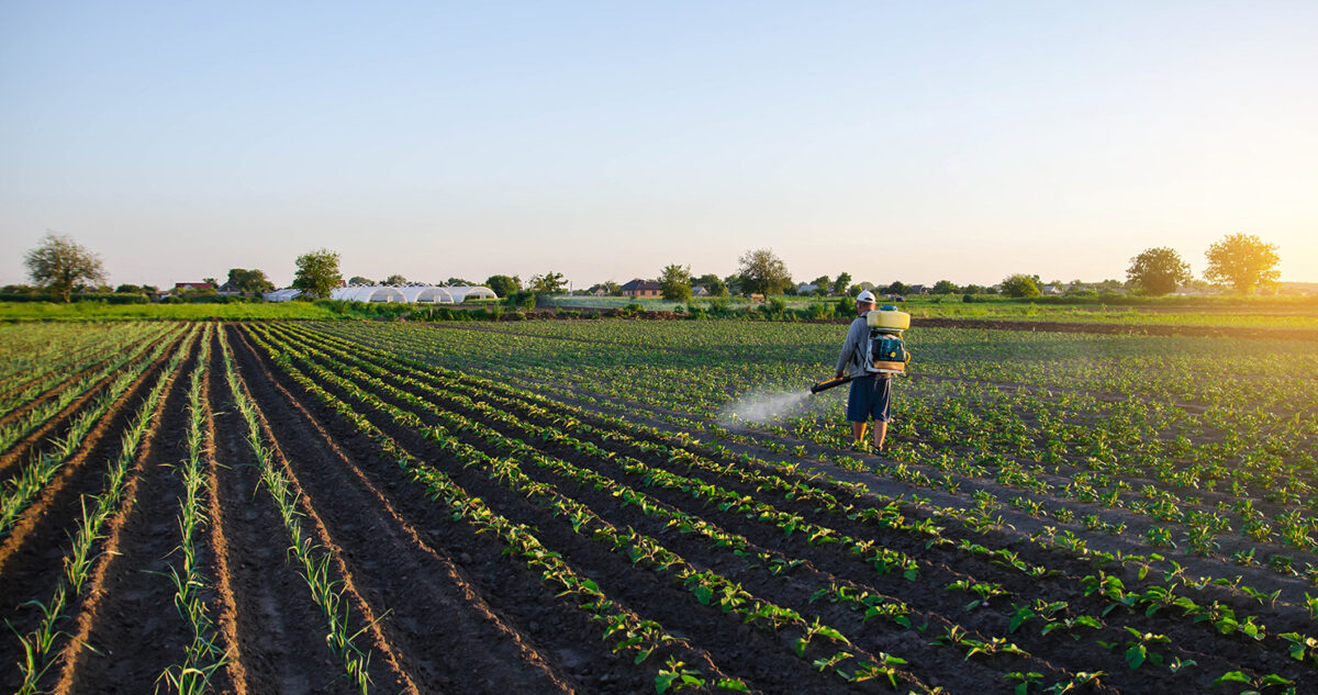 The Importance of Pesticide Testing in Agriculture Industry | New Wave ...